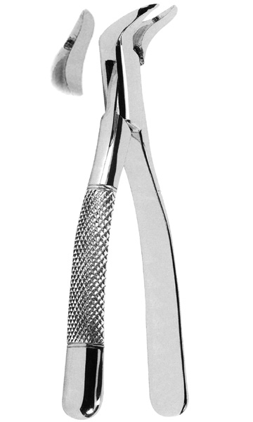 Extracting Forceps American Pattern – Ulmen Industries
